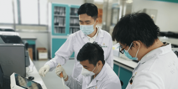 Services|MEDCAPTAINCAPTAIN